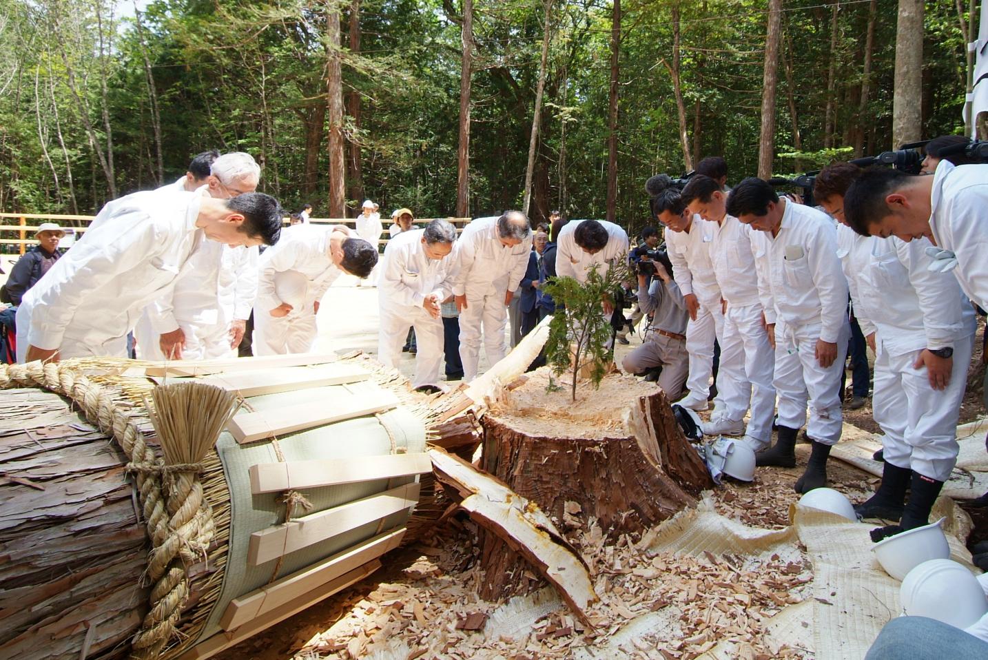 Shikinen Sengu, the largest ritual at Ise Jingu, conducted every 20 ...