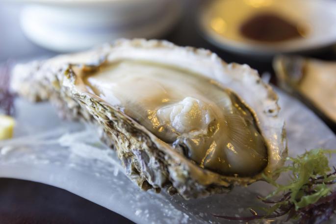 Miketsukuni Gourmet Special | Features | Visit Iseshima ーOfficial ...