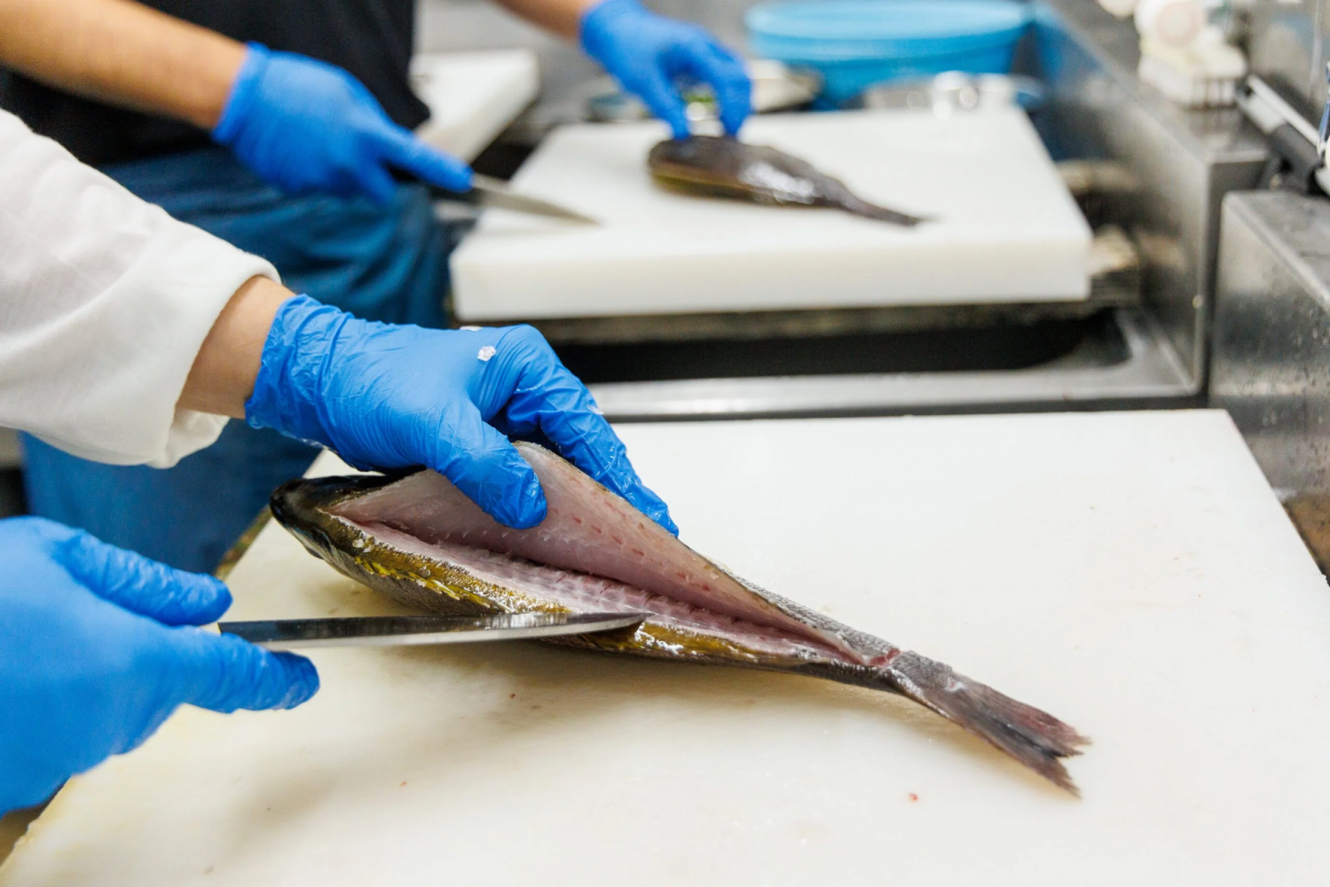 [Premium Course] Local fresh fish shop premium backyard experience ...