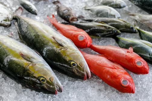 [Standard Course] Local fresh fish shop premium backyard experience ...